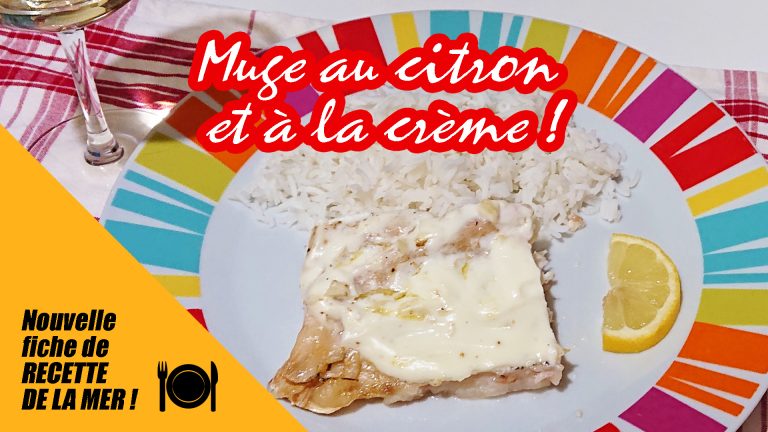 👨‍🍳 NOUVELLE FICHE DE RECETTE DE LA MER / Muge au citron et à la crème ...