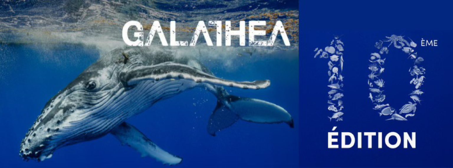 🎦📸🐟 20-23 nov. 2025 - 10ème édition GALATHEA / Festival International ...